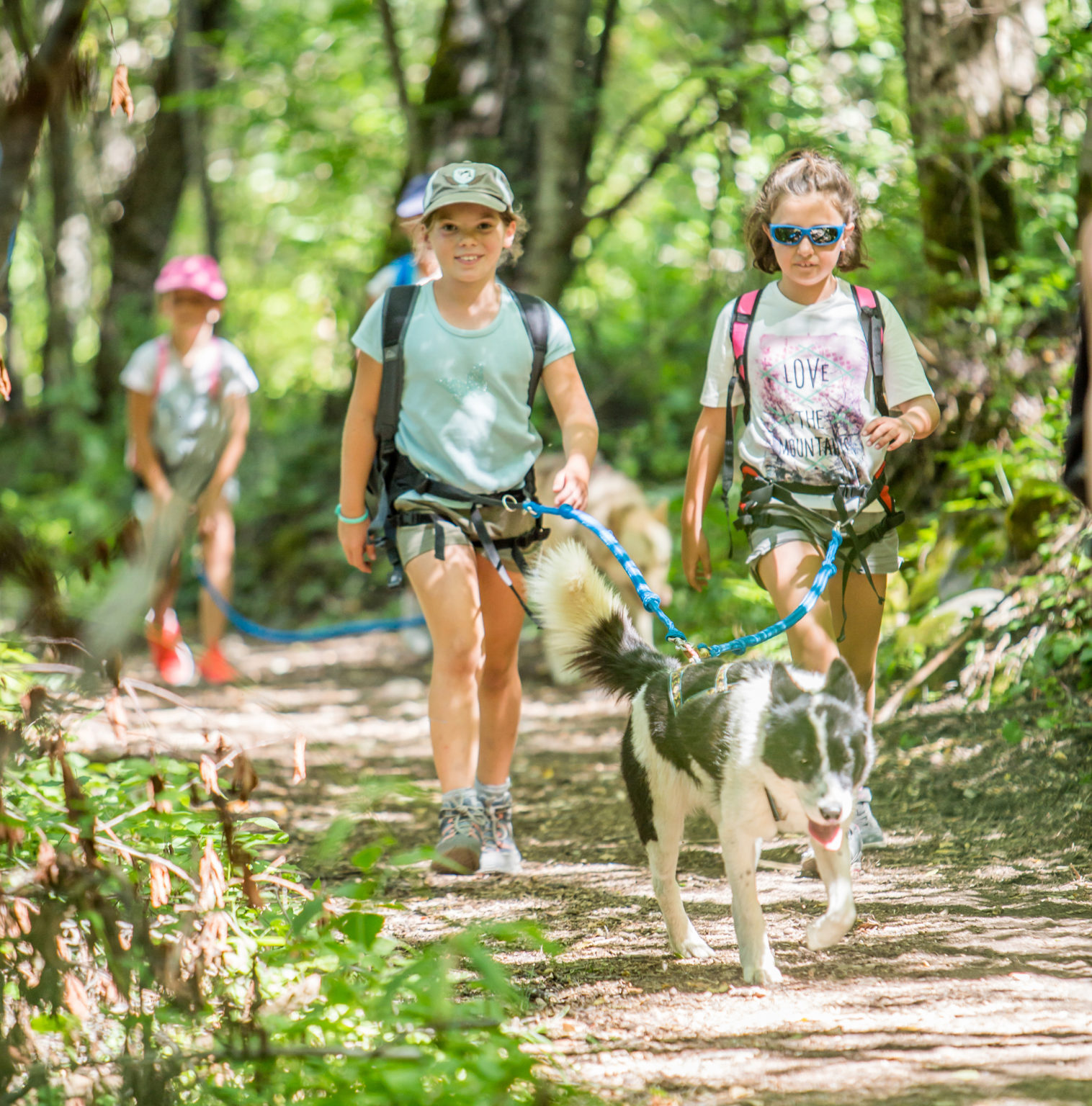 La Cani Randonnée - Mushing Addict